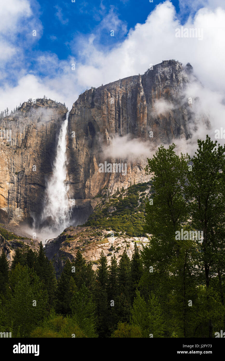 Yosemite Fall, California, Usa (Large format sizes available Stock ...