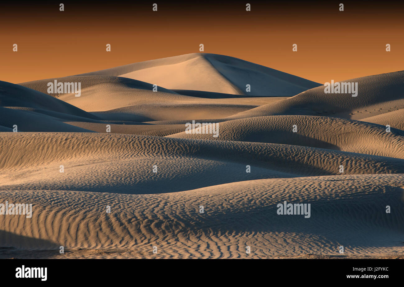 Undulating sand dunes of Death Valley in golden light (Large format ...