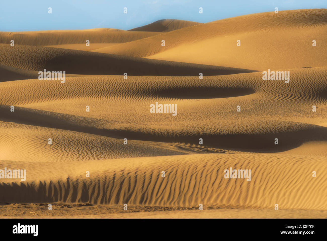 Rolling dunes in golden sunset color in Death Valley, CA (Large format ...