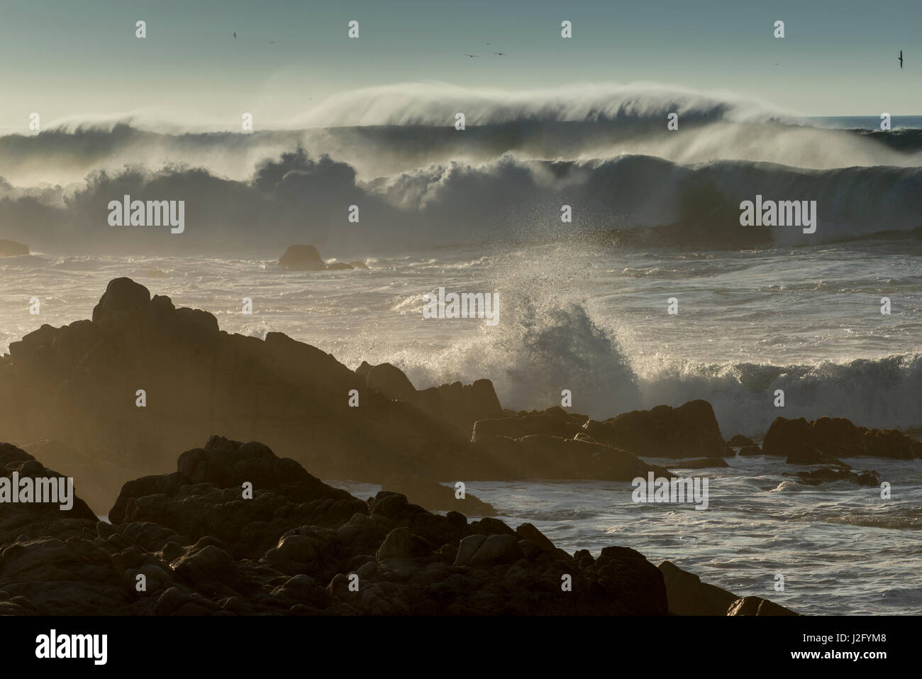 California winter monterey peninsula hi-res stock photography and ...