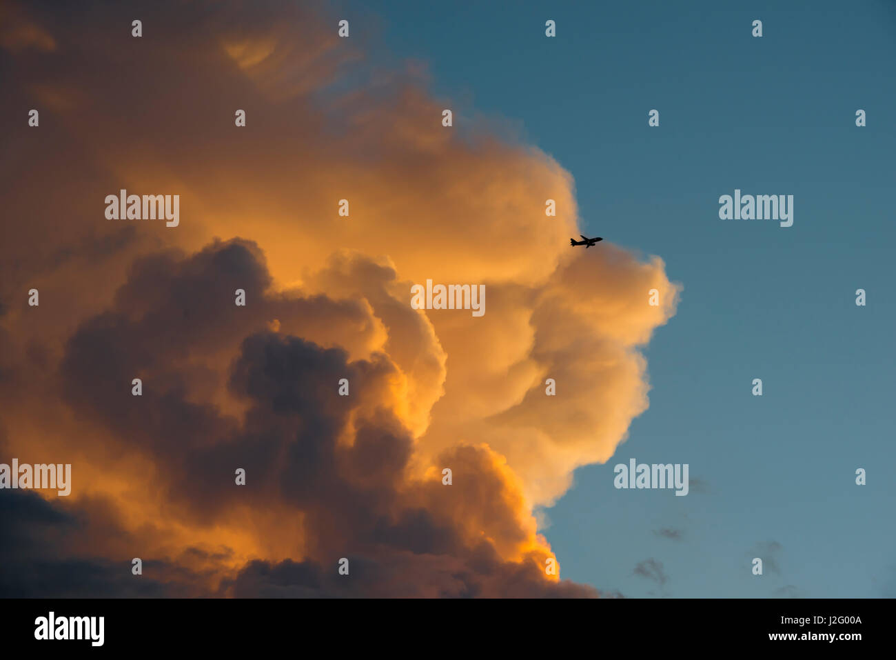Tampa bay sunset airplane hi-res stock photography and images - Alamy