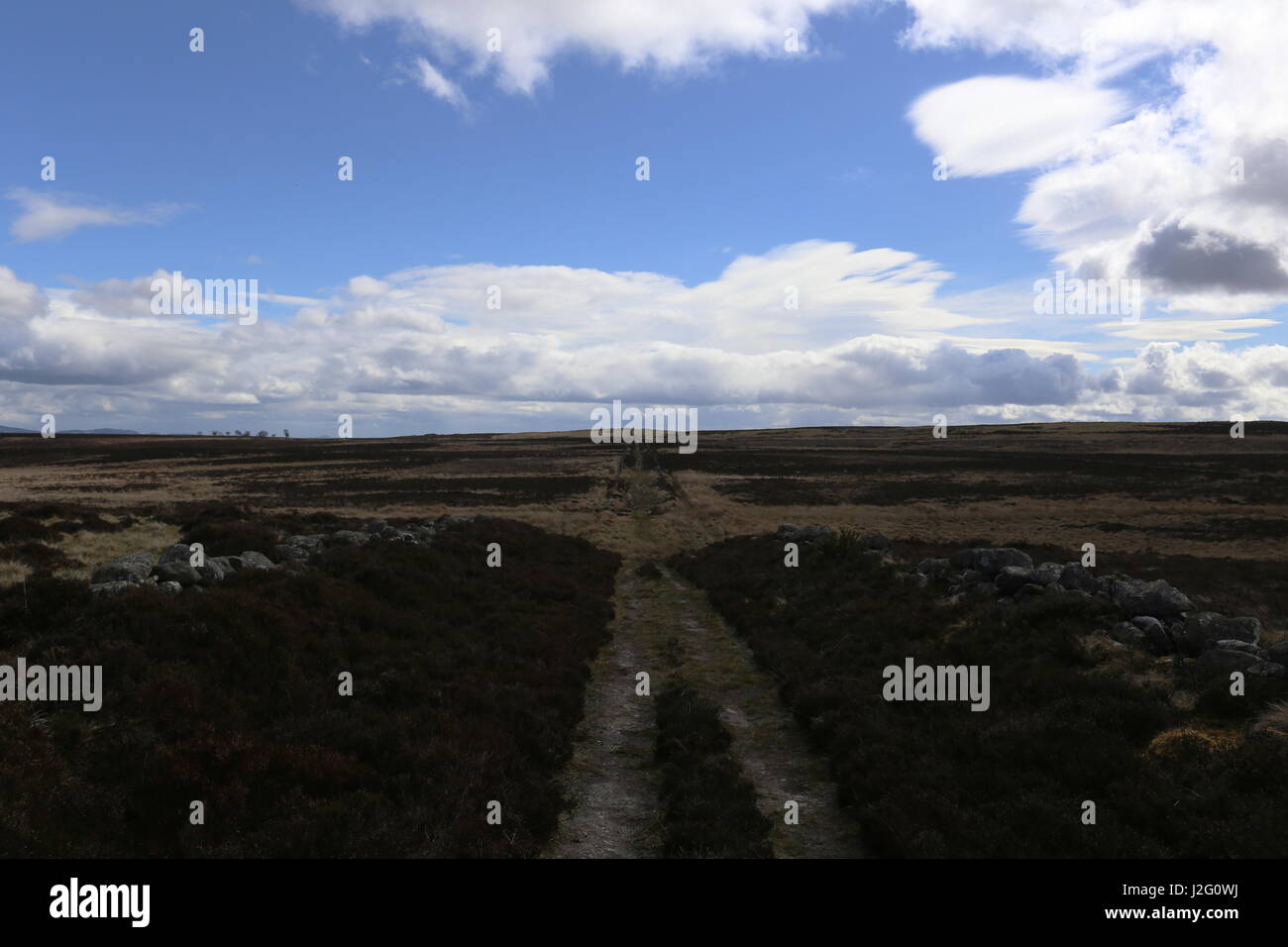 Cateran trail between Bridge of Cally and Blairgowrie Scotland April ...