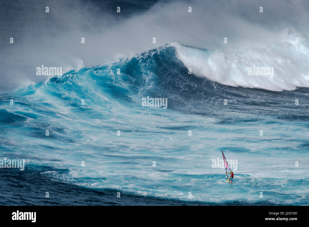 USA, Hawaii, Maui. Robby Naish windsurfing monster waves at Pe'ahi Jaws ...