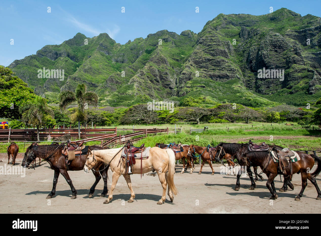 Kualoa Ranch, Kaneohe, Oahu, Hawaii Stock Photo - Alamy