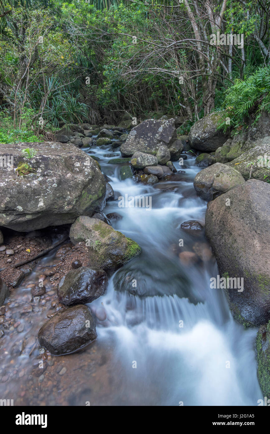 Limuli garden hi-res stock photography and images - Alamy
