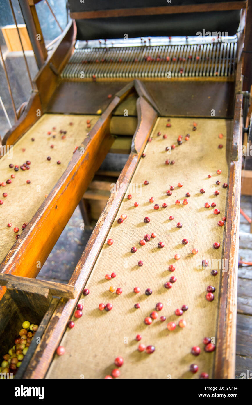 Cranberry Harvest Machine Massachusetts High Resolution Stock ...