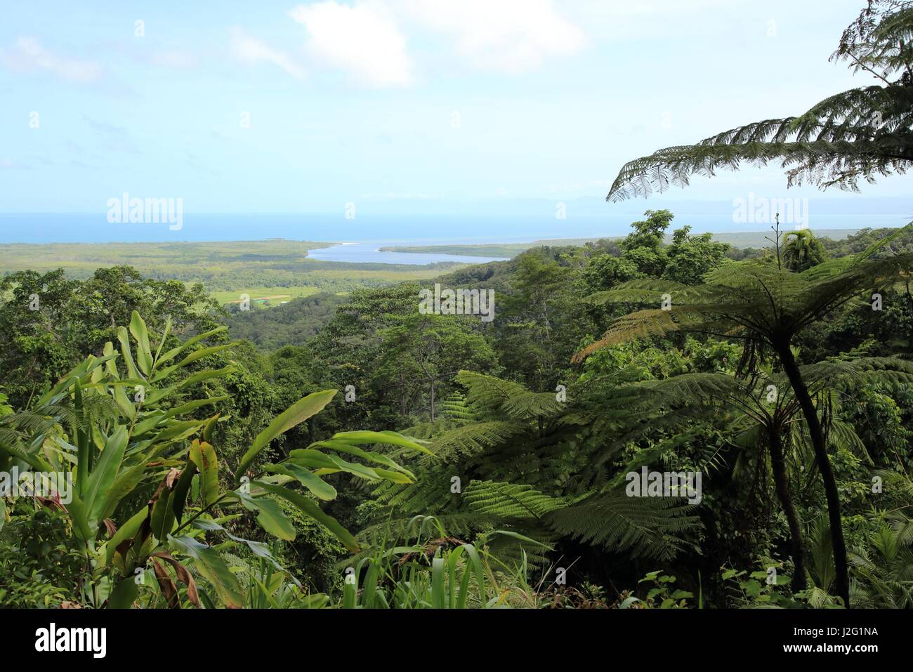 Mount alexandra lookout hi-res stock photography and images - Alamy