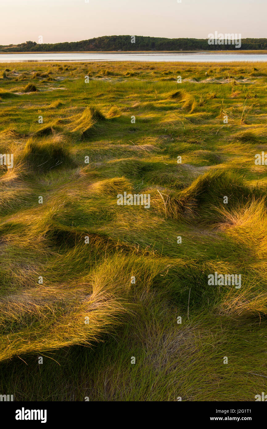 Great island trail wellfleet hi-res stock photography and images - Alamy