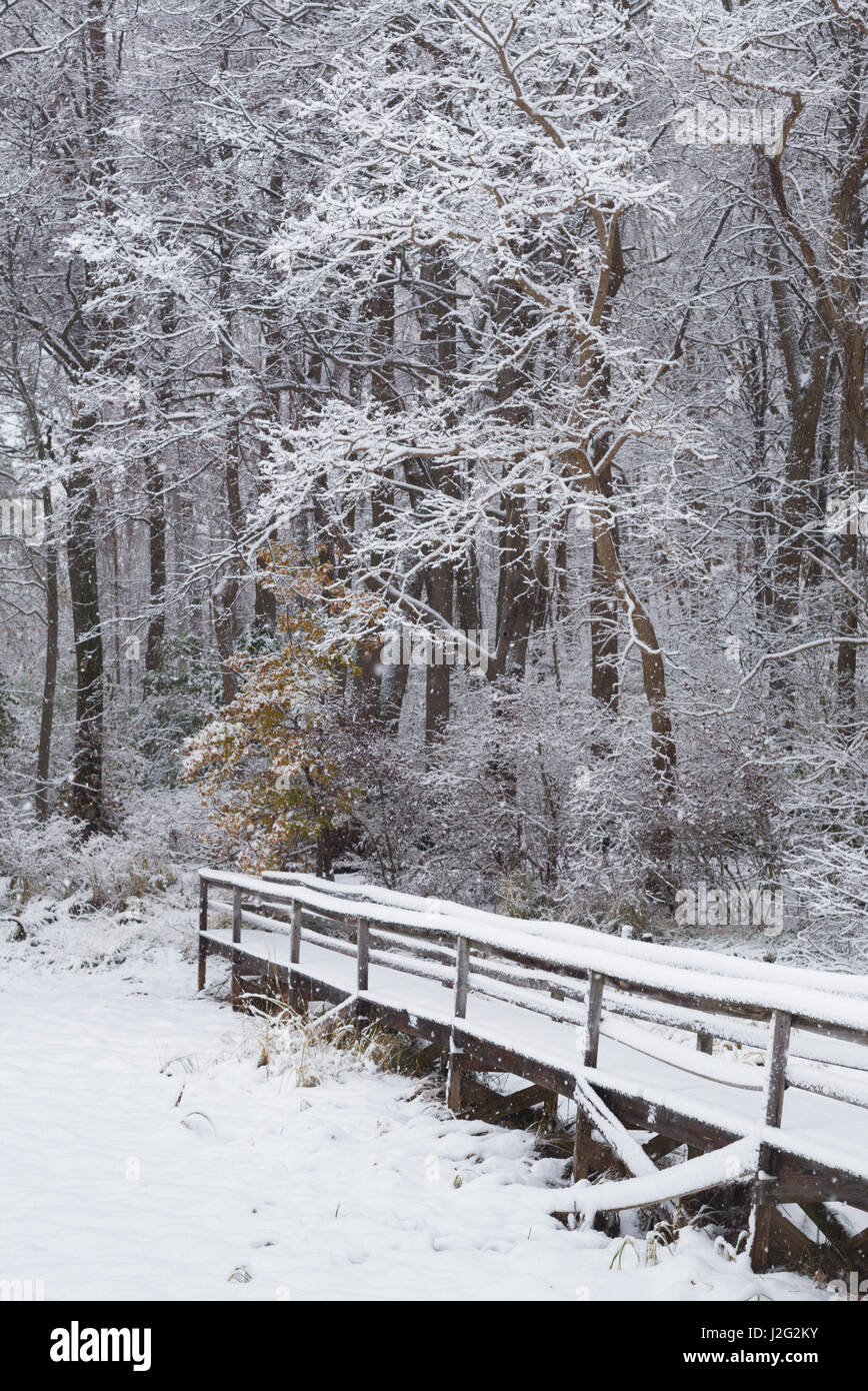 USA, Massachusetts, Cape Ann, Gloucester, early snowfall Stock Photo ...