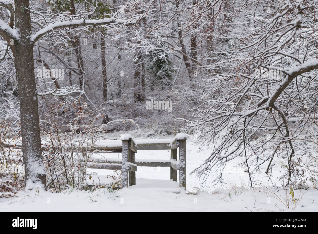 USA, Massachusetts, Cape Ann, Gloucester, early snowfall Stock Photo ...