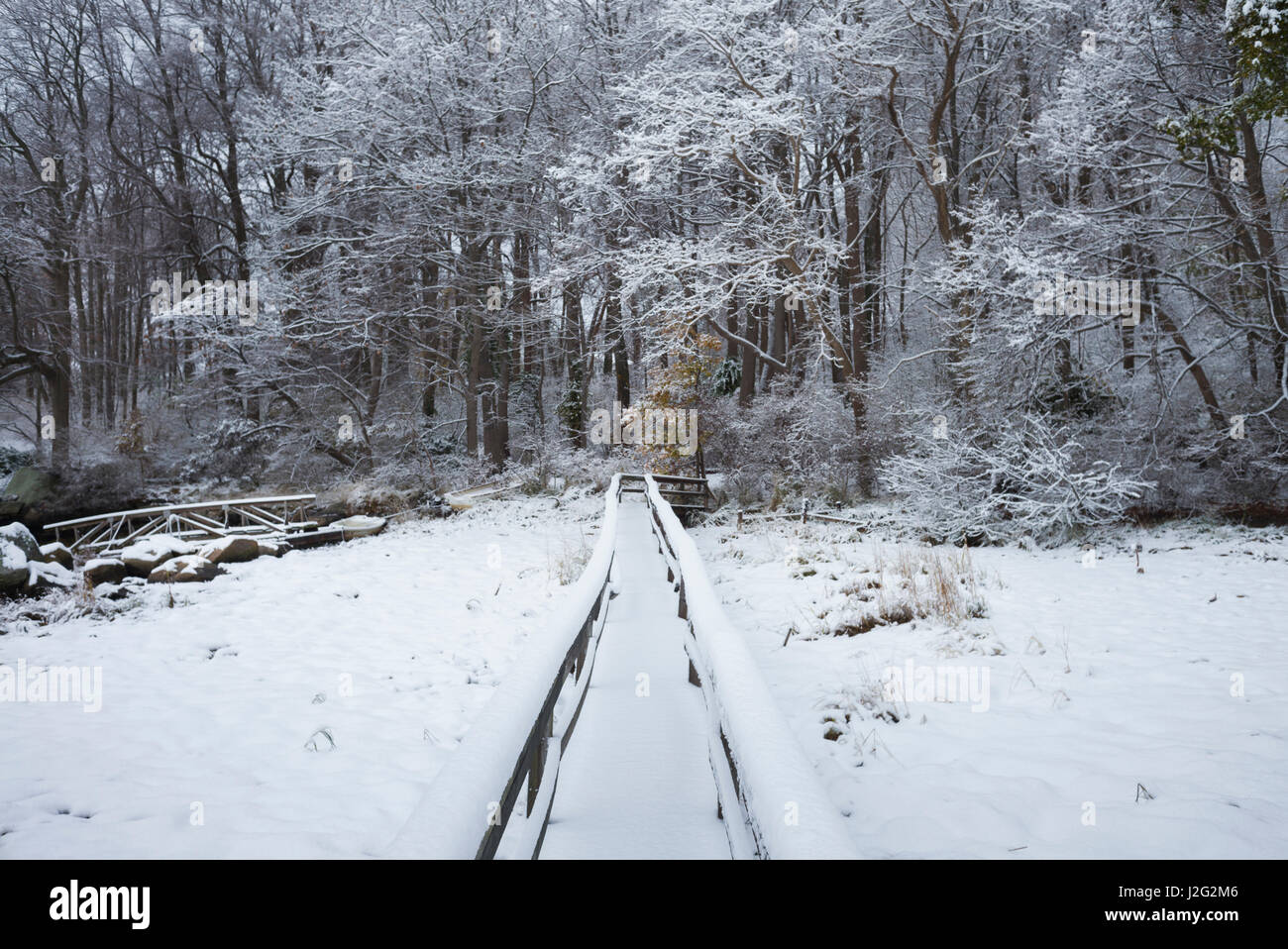 USA, Massachusetts, Cape Ann, Gloucester, early snowfall Stock Photo ...