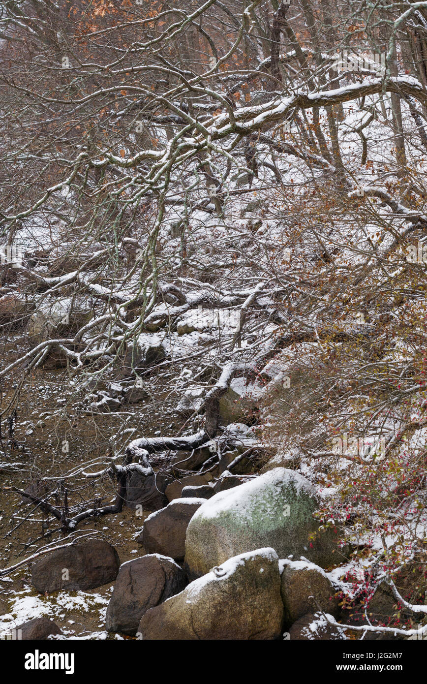 USA, Massachusetts, Cape Ann, Gloucester, early snowfall Stock Photo ...