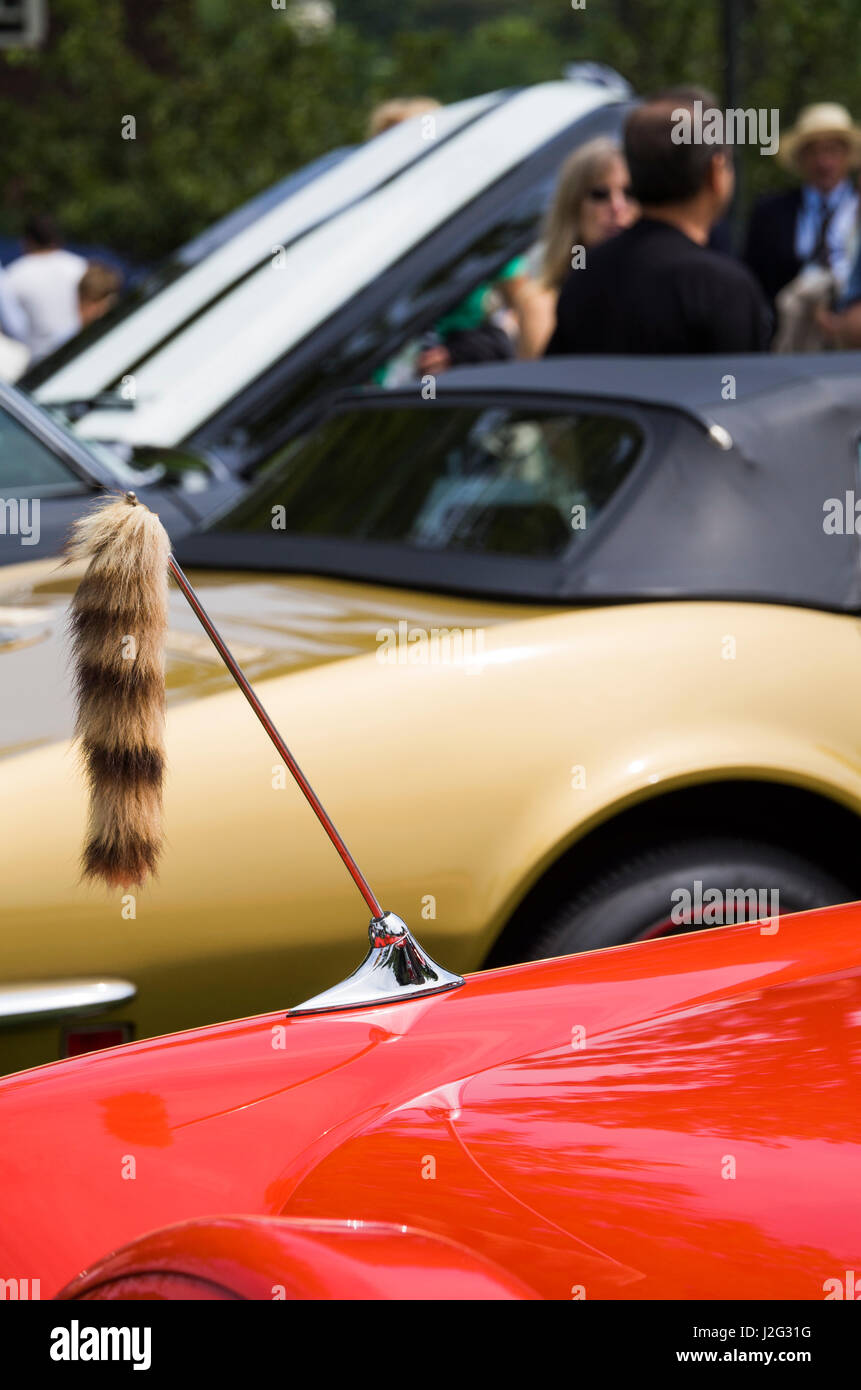 USA, Massachusetts, Beverly Farms, antique cars, fuzzy tiger tail, hot ...