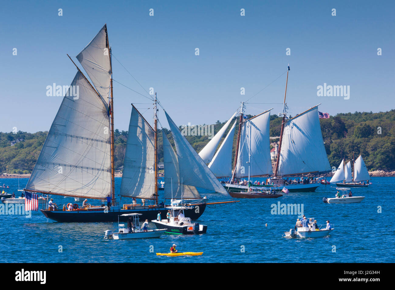 USA, Massachusetts, Cape Ann, Gloucester, annual Gloucester Schooner ...