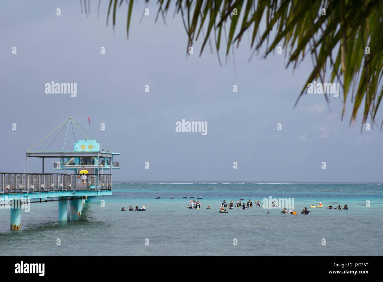 Micronesia, Mariana Islands, US Territory of Guam. Fish Eye Marine Park ...