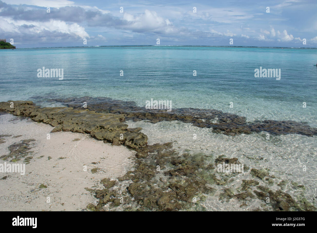 Micronesia, Mariana Islands, US Territory of Guam, Tamuning. Coral ...