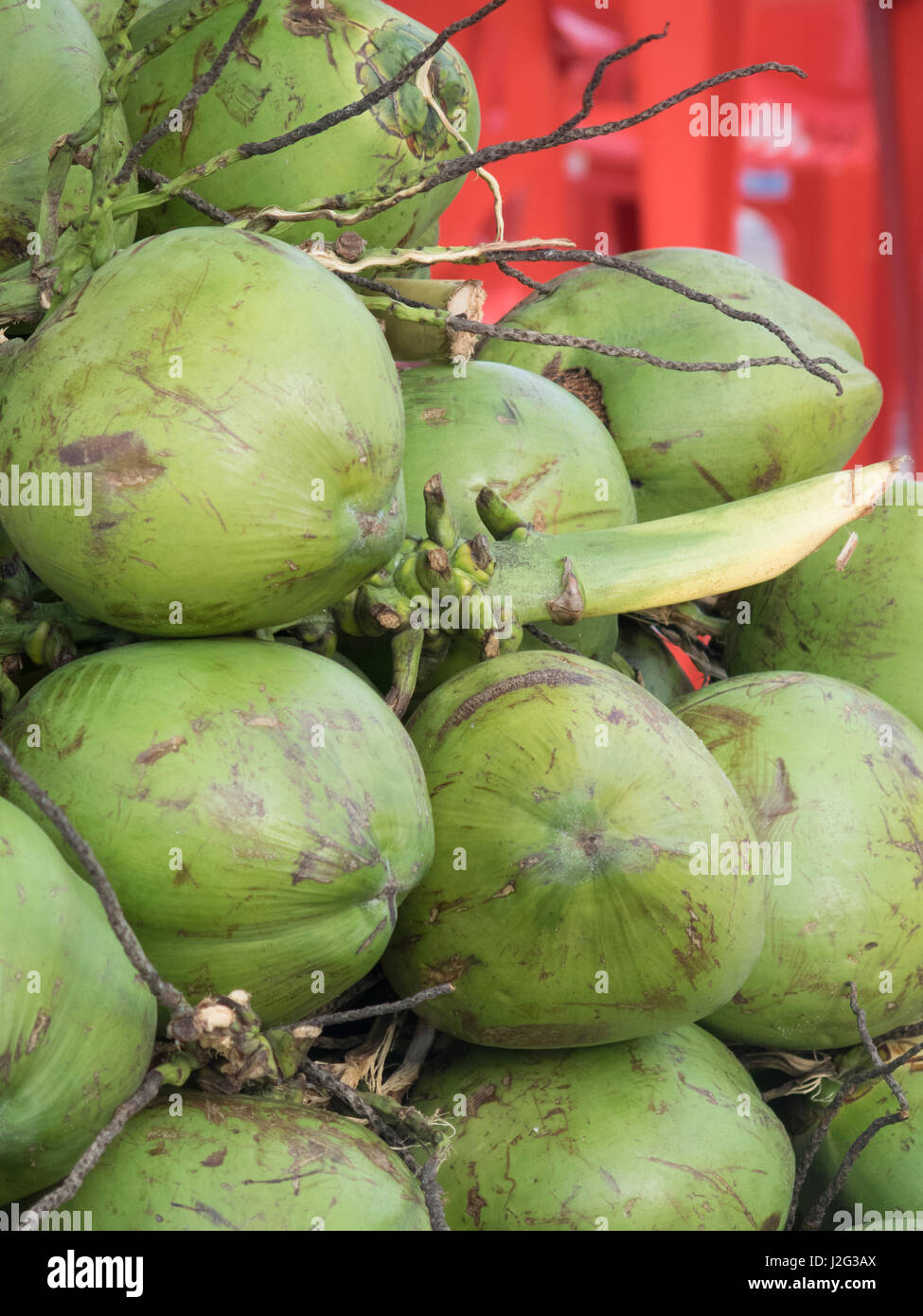 Coconut bunch for sale, Ipanema, Rio De Janeiro, Brazil Stock Photo - Alamy