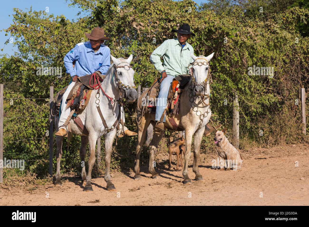 Brazil, Mato Grosso, The Pantanal, The Transpantaneira Highway ...