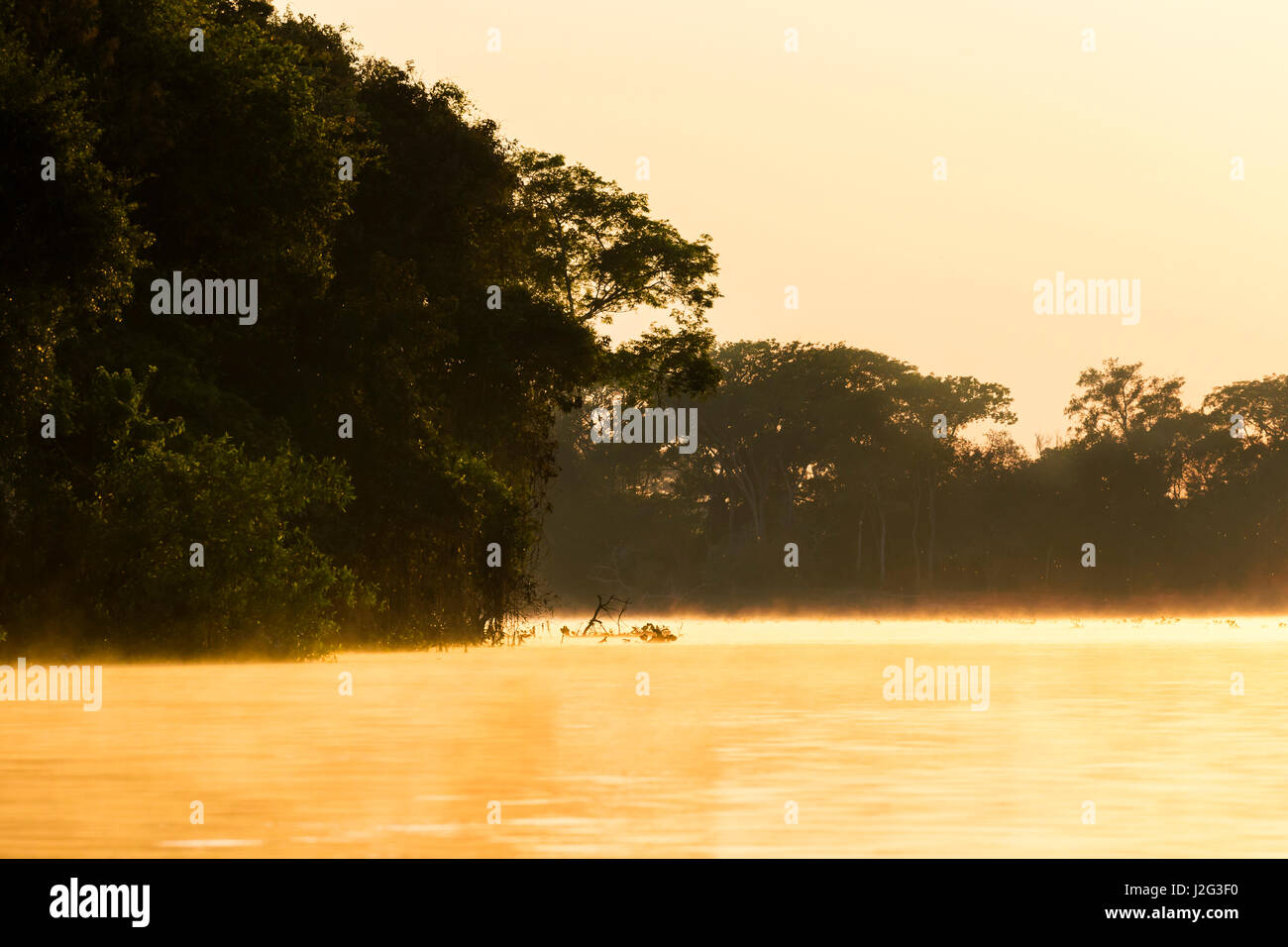 Brazil, Mato Grosso, The Pantanal, Rio Cuiaba. Mist on the Rio Cuiaba ...