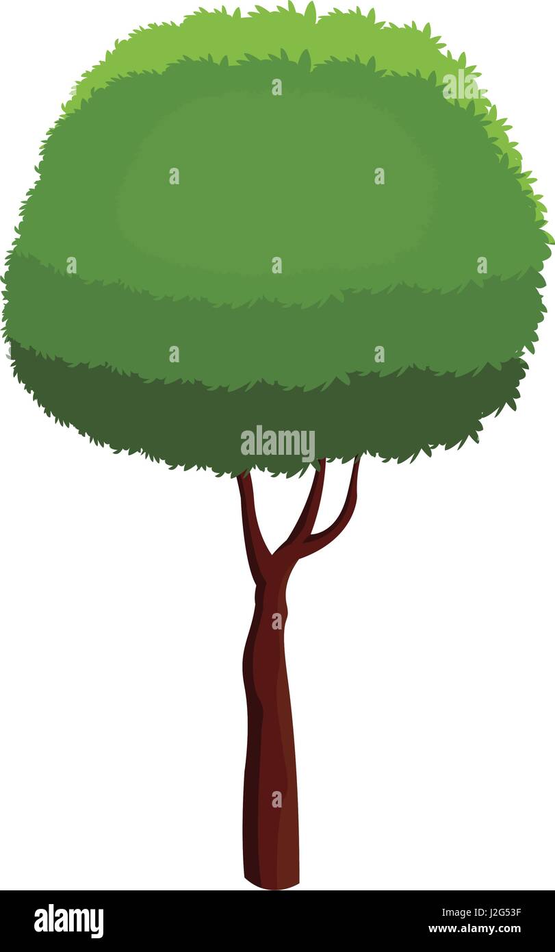 tree foliage stem trunk over white background Stock Vector Image & Art ...