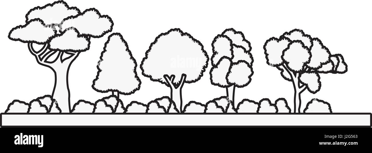 collection tree forest natural foliage outline Stock Vector Image & Art ...