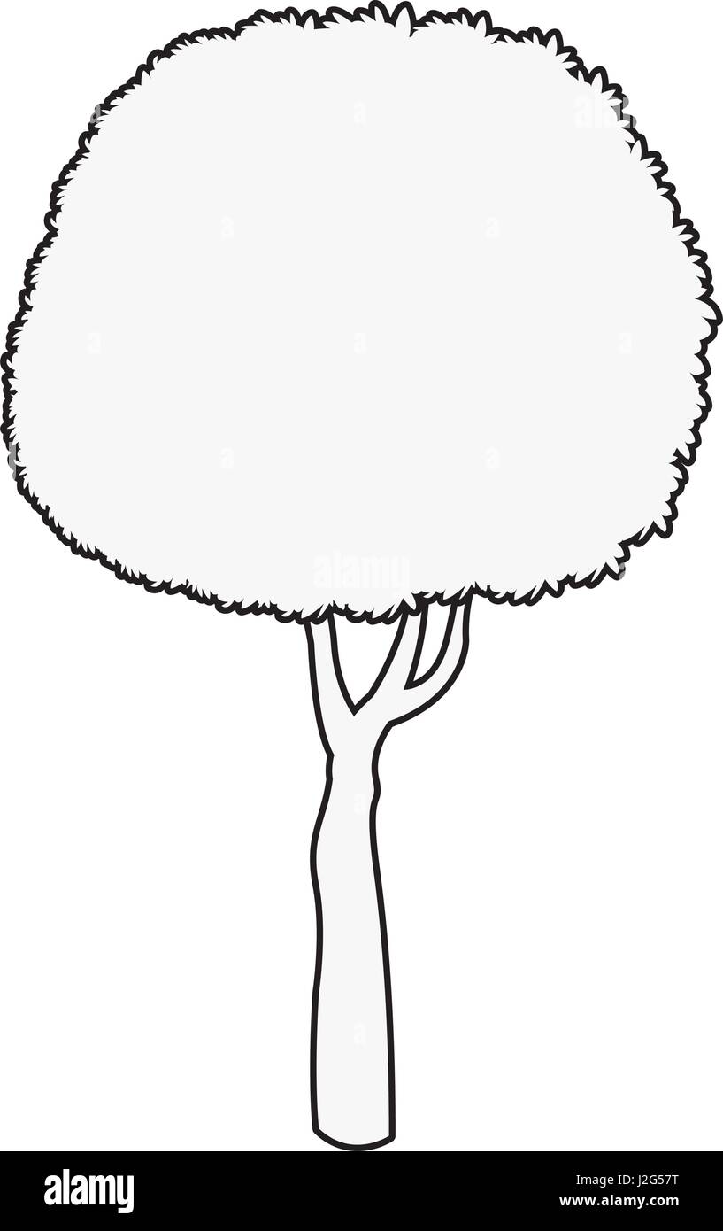 round tree plant organic stem outline Stock Vector Image & Art - Alamy