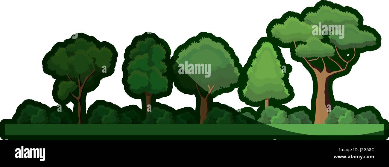 cartoon forest tree bushes natural image shadow Stock Vector Image ...