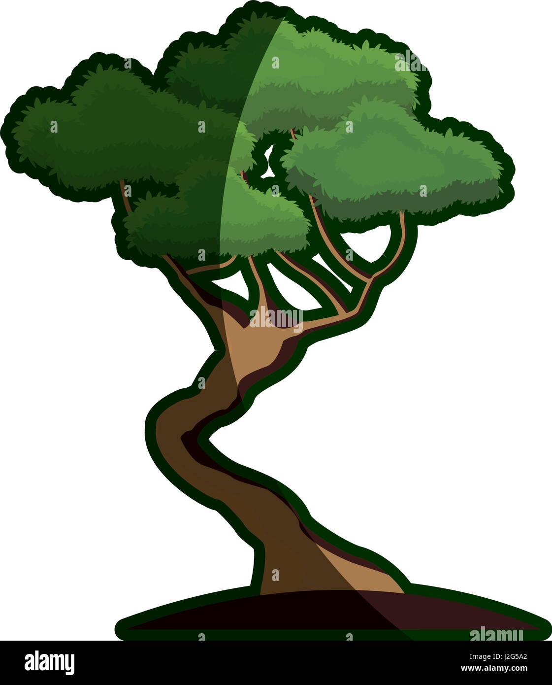 Bonsai flower Stock Vector Images - Alamy