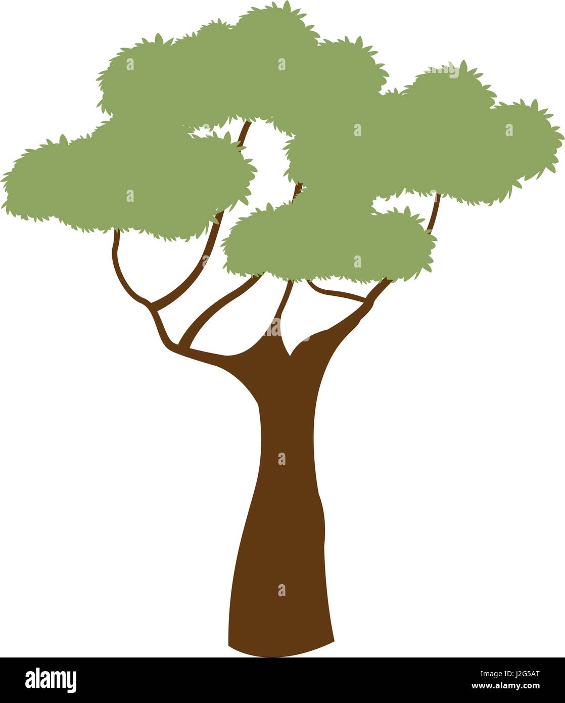 South african flora macro Stock Vector Images - Alamy