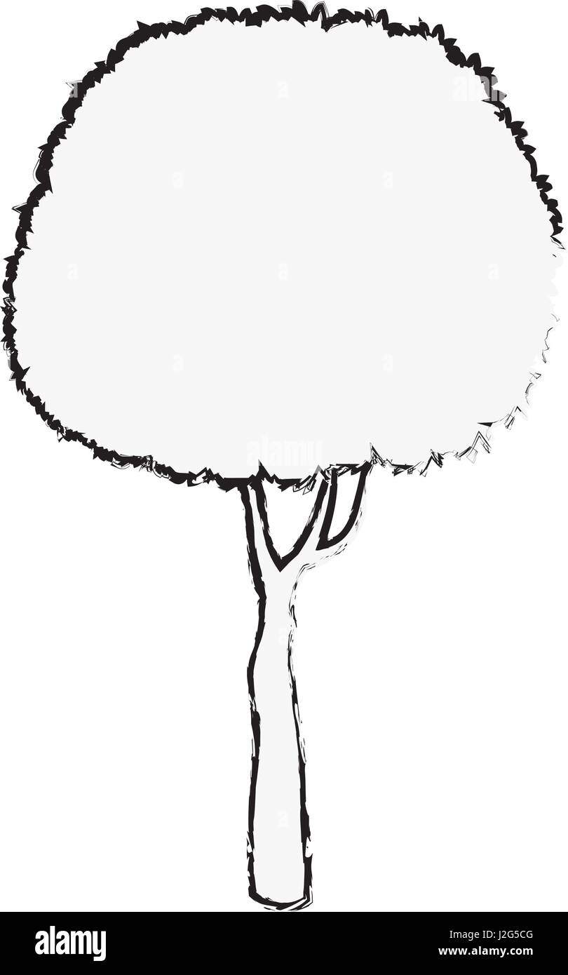 tree foliage stem trunk sketch Stock Vector Image & Art - Alamy