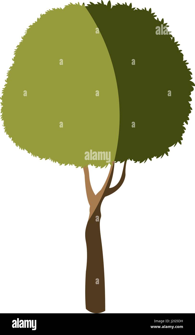 tree plant foliage stem trunk Stock Vector Image & Art - Alamy