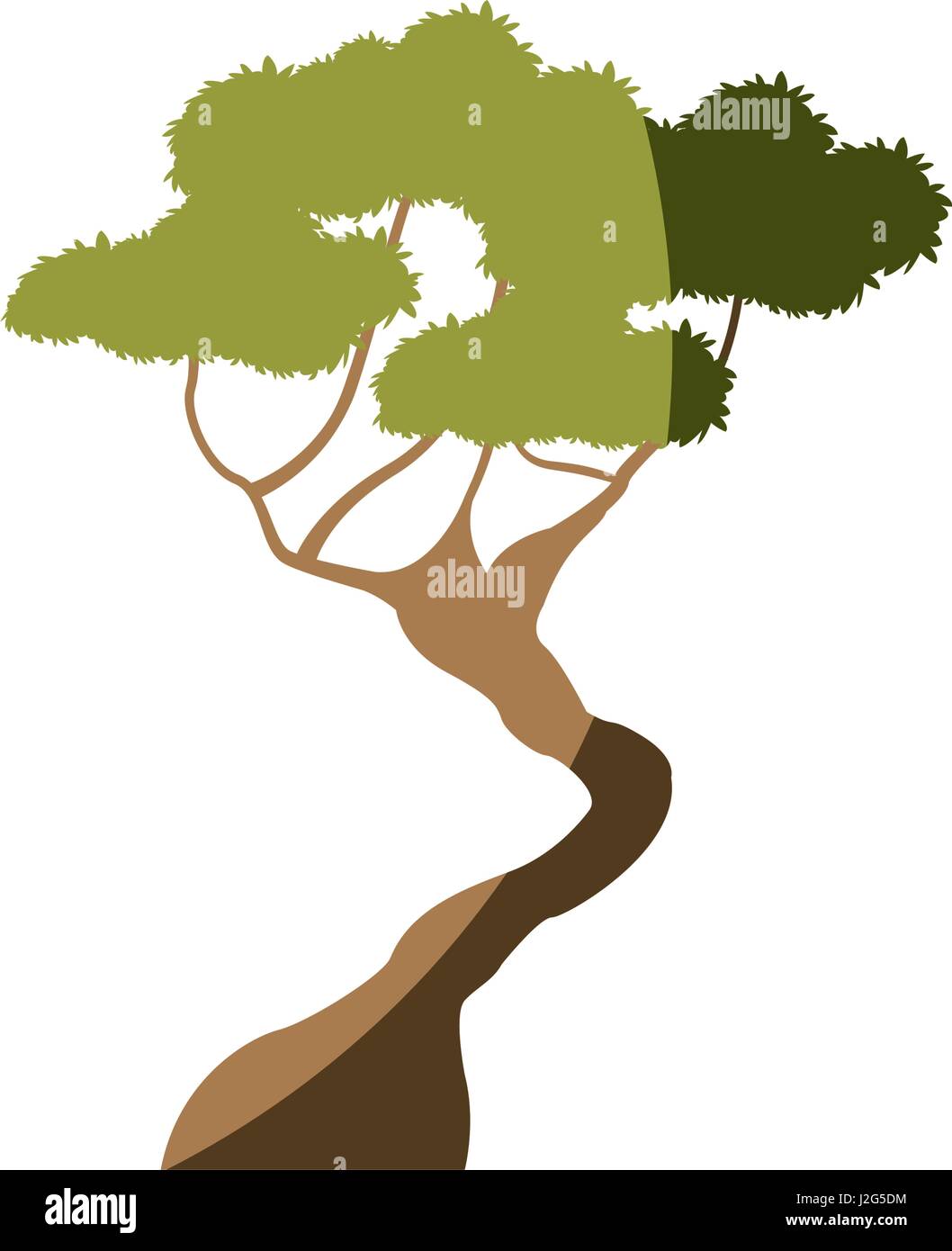 Beautiful forest walk tree Stock Vector Images - Alamy