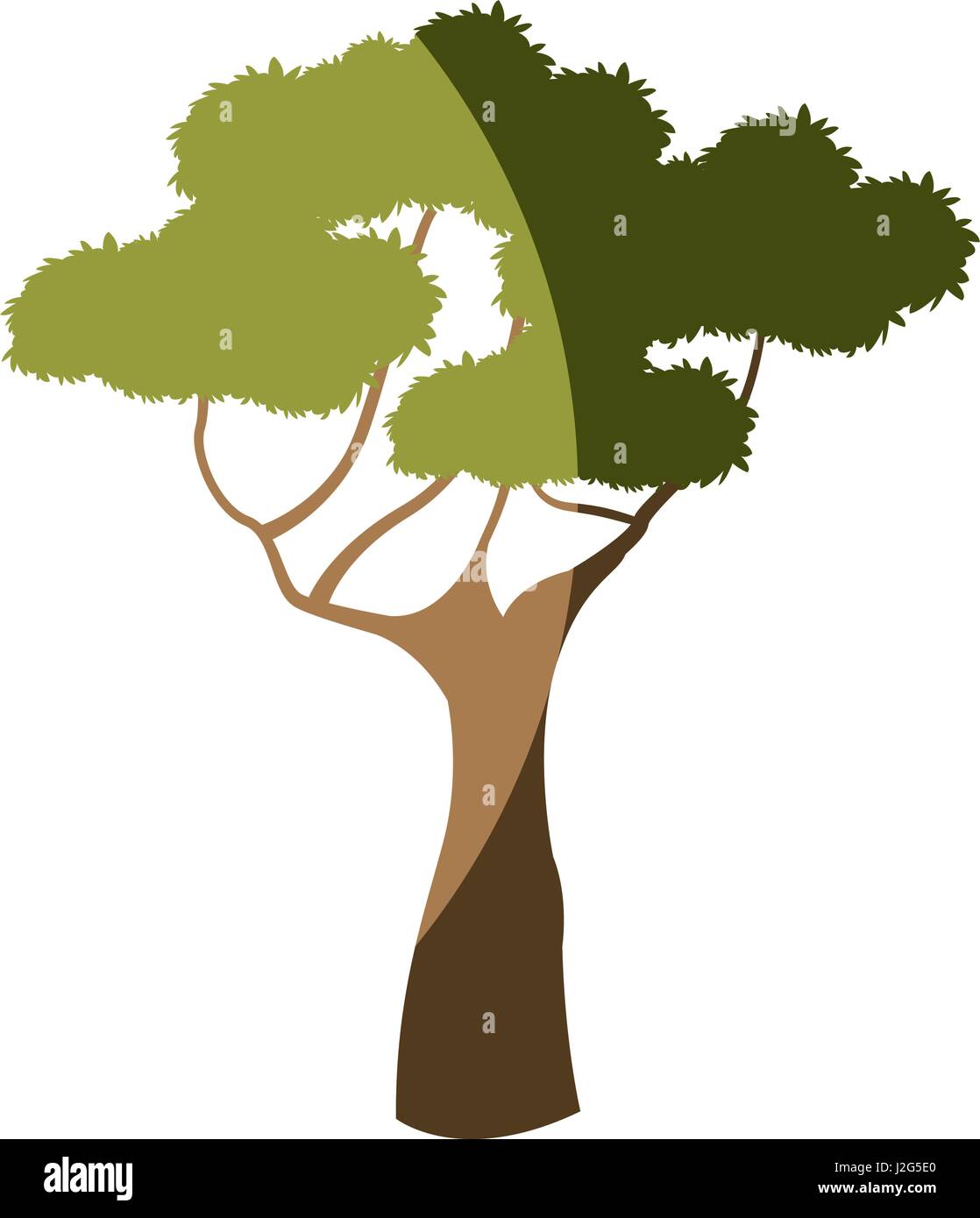 african tree plant natural foliage nature image Stock Vector Image ...