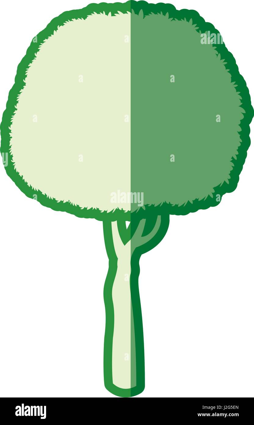 green tree round plant silhouette Stock Vector Image & Art - Alamy