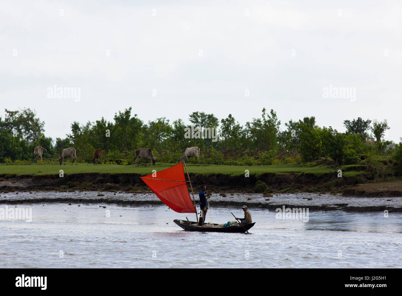 A sail boat on the Pasur River in Bagerhat, Bangladesh Stock Photo - Alamy