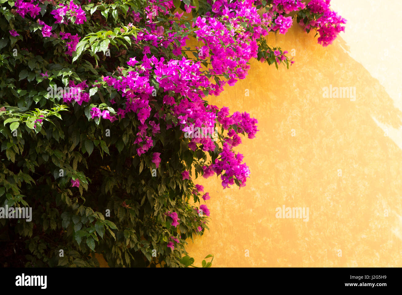 Distillery of la rojena hi-res stock photography and images - Alamy