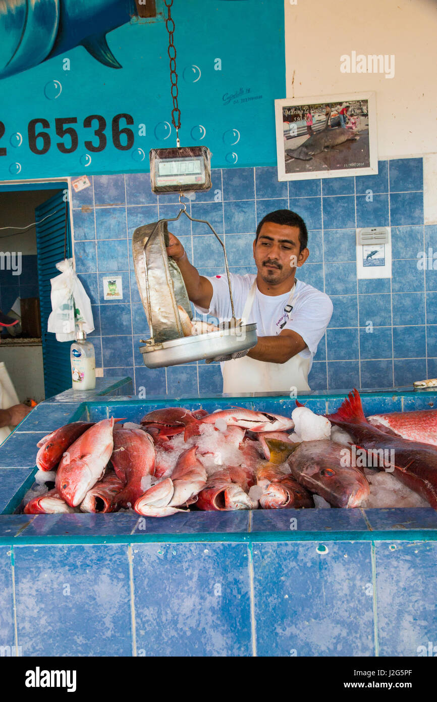 Mexico, Bucerias. Bay of Banderias. La Cruz de Huanacaxtle. A fishing ...