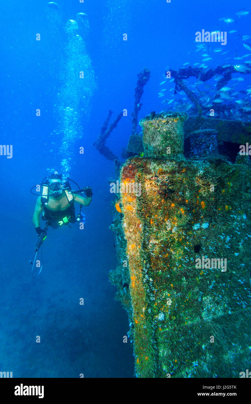 Scuba Diver exploring a wreck in the Gulf of Mexico Stock Photo - Alamy