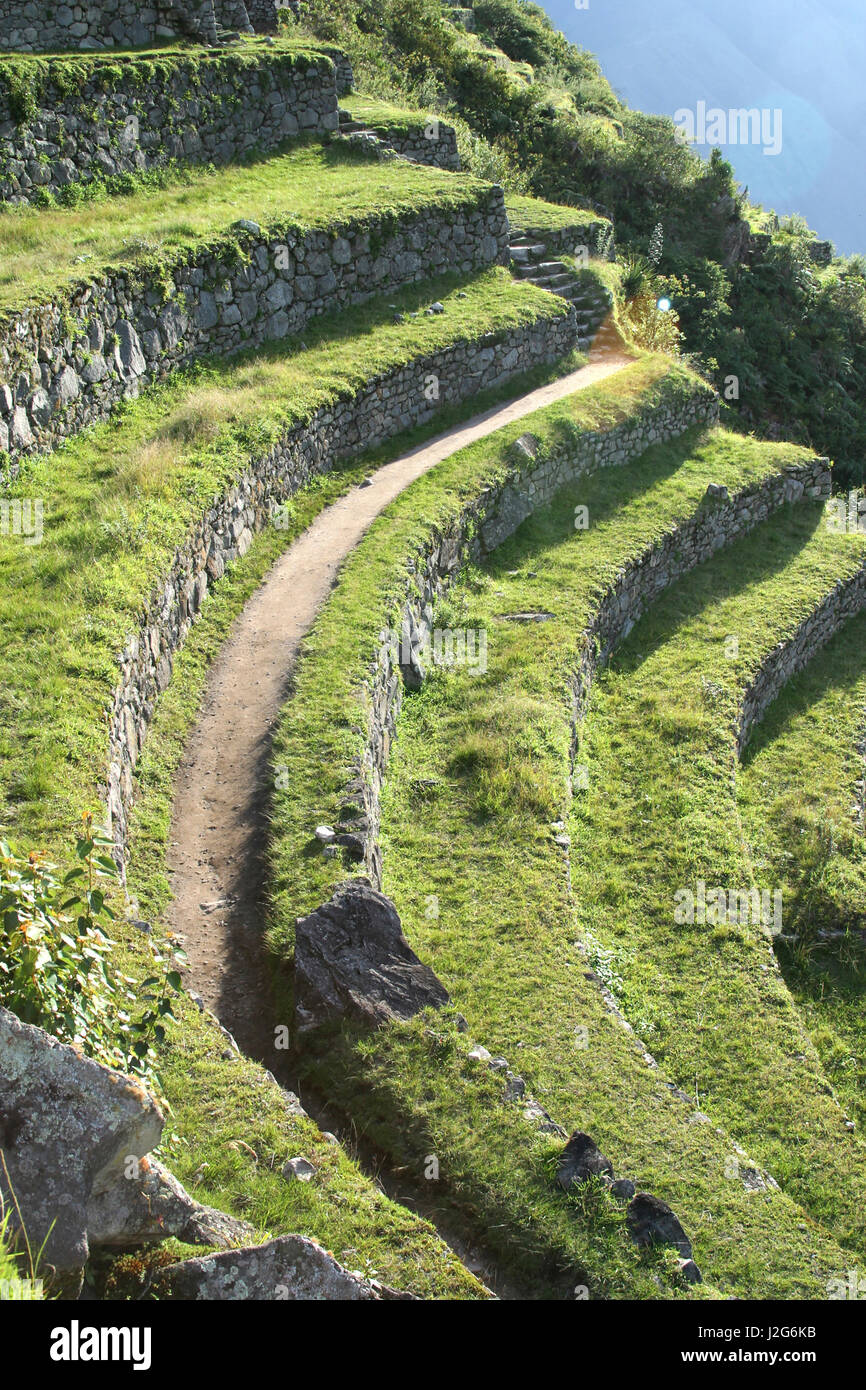 South America, Peru, Machu Picchu, Terracing Stock Photo - Alamy