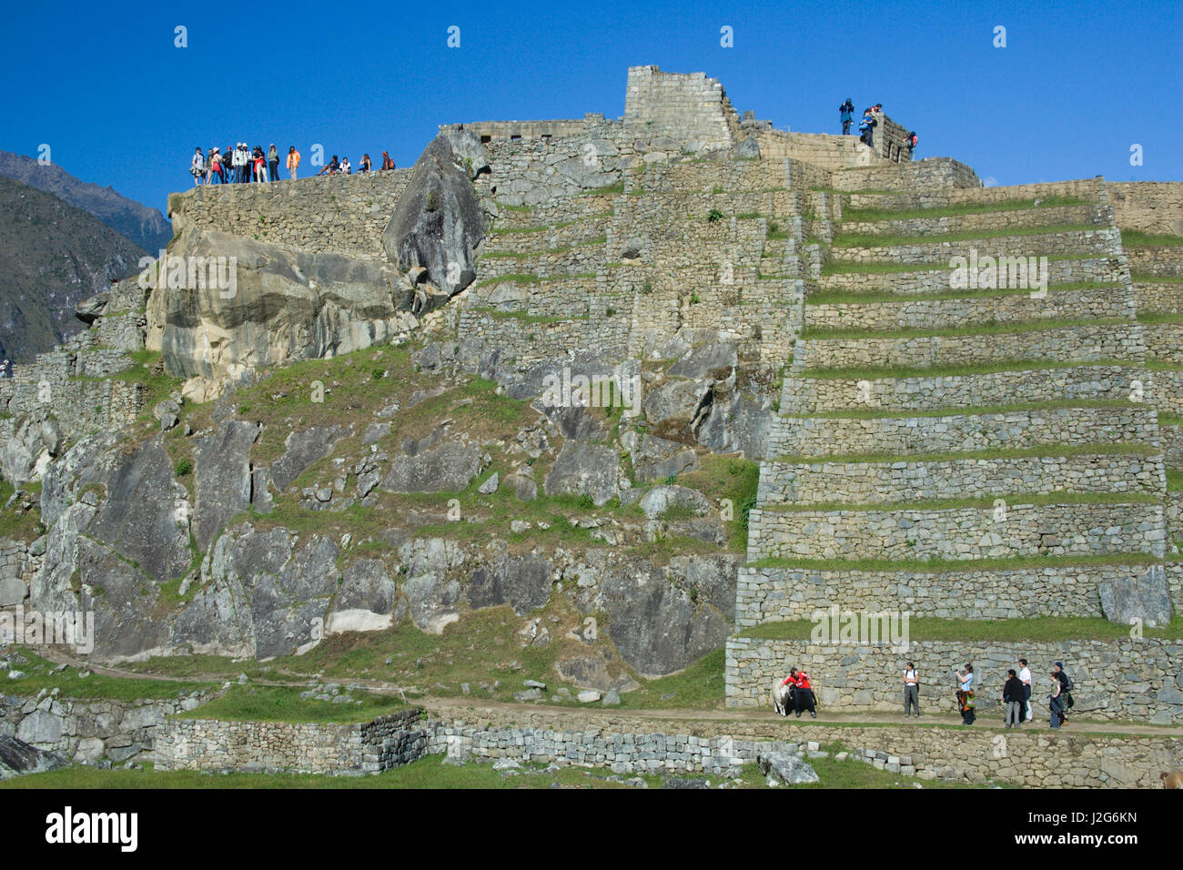 Machu Picchu, ruins of Inca city, Peru, South America Stock Photo - Alamy