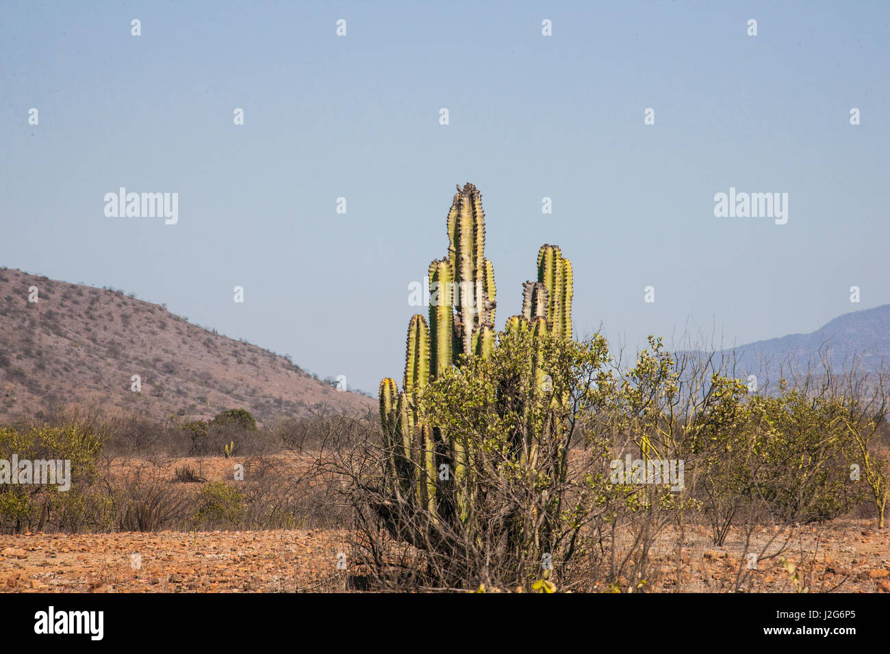 Considered to be a sacred site by the indigenous population of this ...