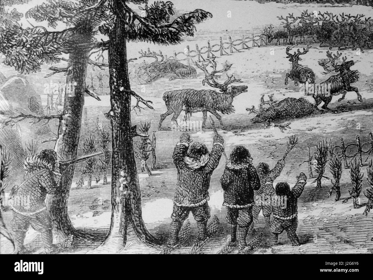 Indian hunter hunting trap hunt Black and White Stock Photos & Images ...