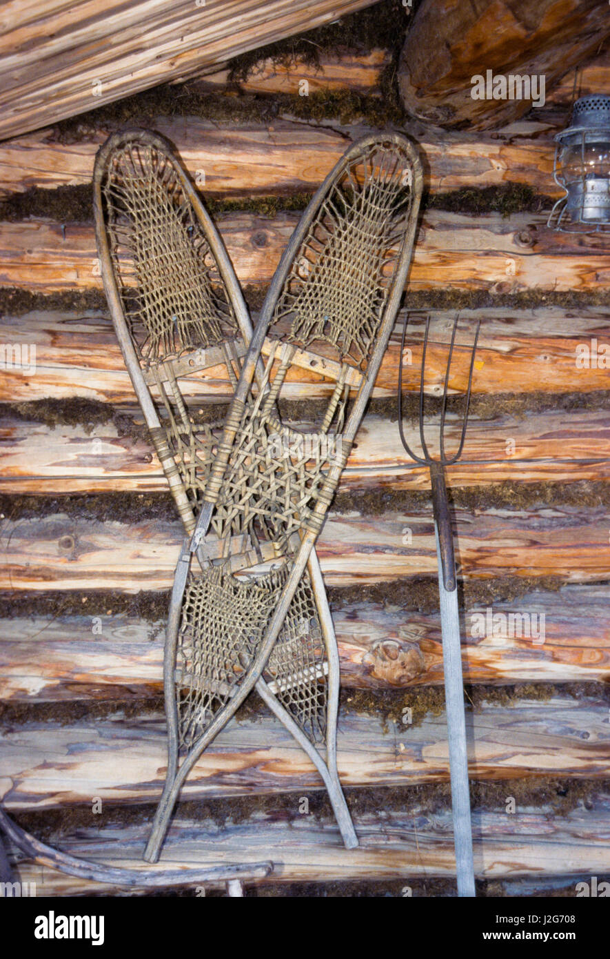 Snow shoes were used by many tribes of the Sub-Arctic region such as ...