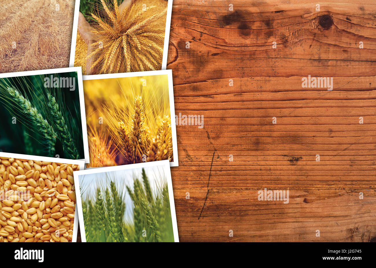 Wheat farming photo collage on wooden background as copy space Stock ...