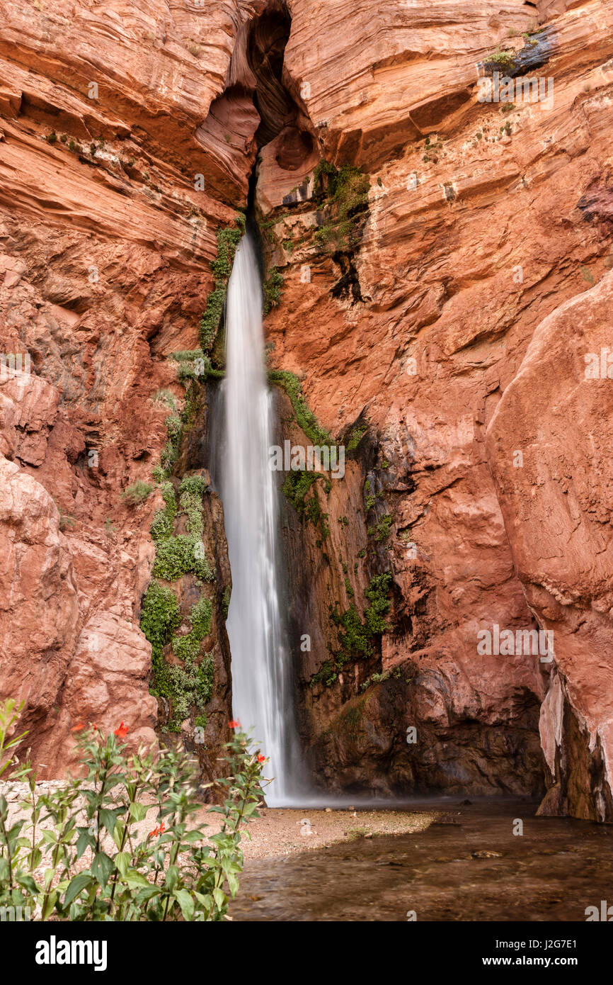 Waterfall. Tributary to Colorado River. Grand Canyon. Arizona. USA ...