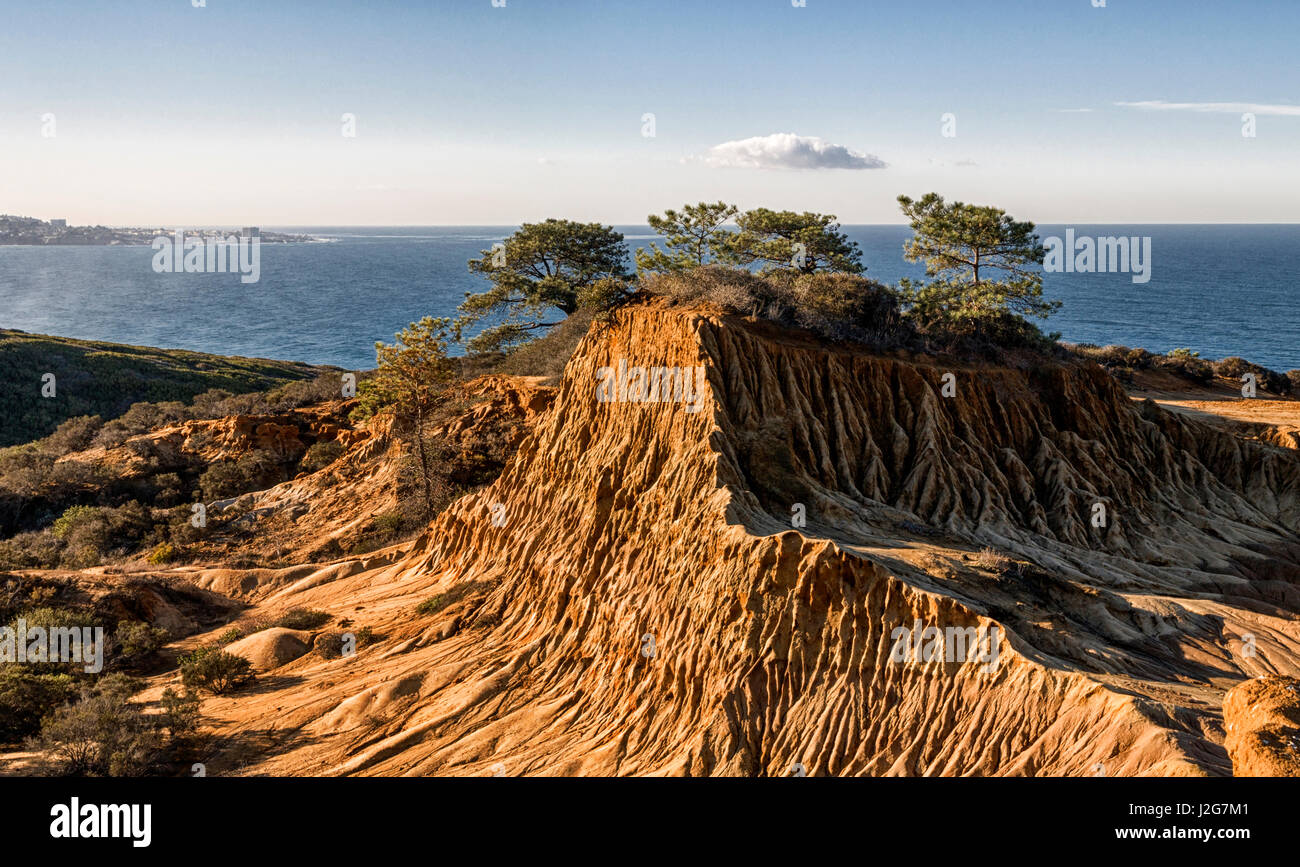 USA, California, La Jolla. Broken Hill area of Torrey Pines State ...