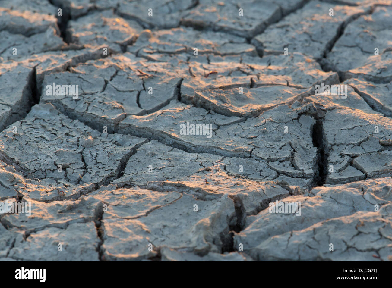 Soil fissures hi-res stock photography and images - Alamy