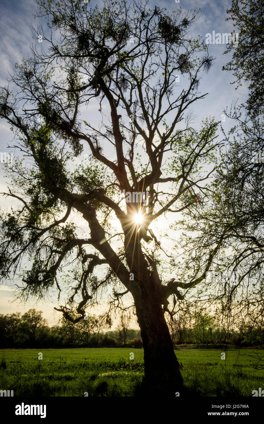 Fremont weir hi-res stock photography and images - Alamy