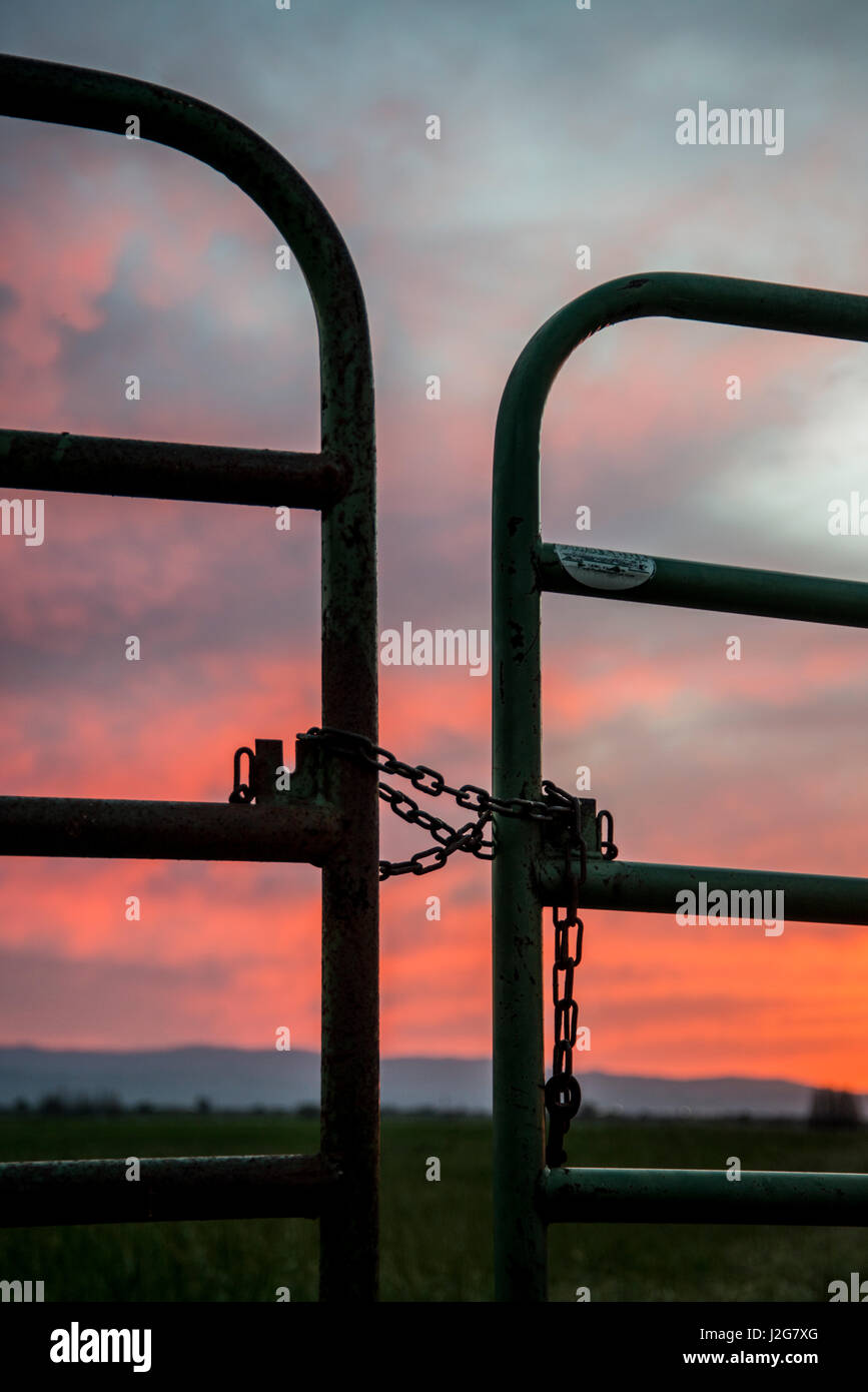 USA, California, Central Valley, Vernalis, off Rt 132, sunset (Large ...