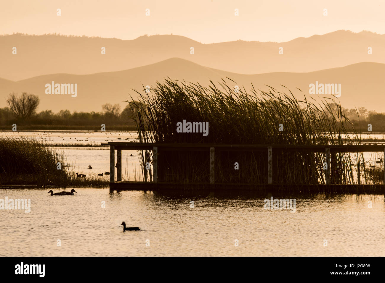 USA, California, Central Valley, San Joaquin River Valley, San Luis ...